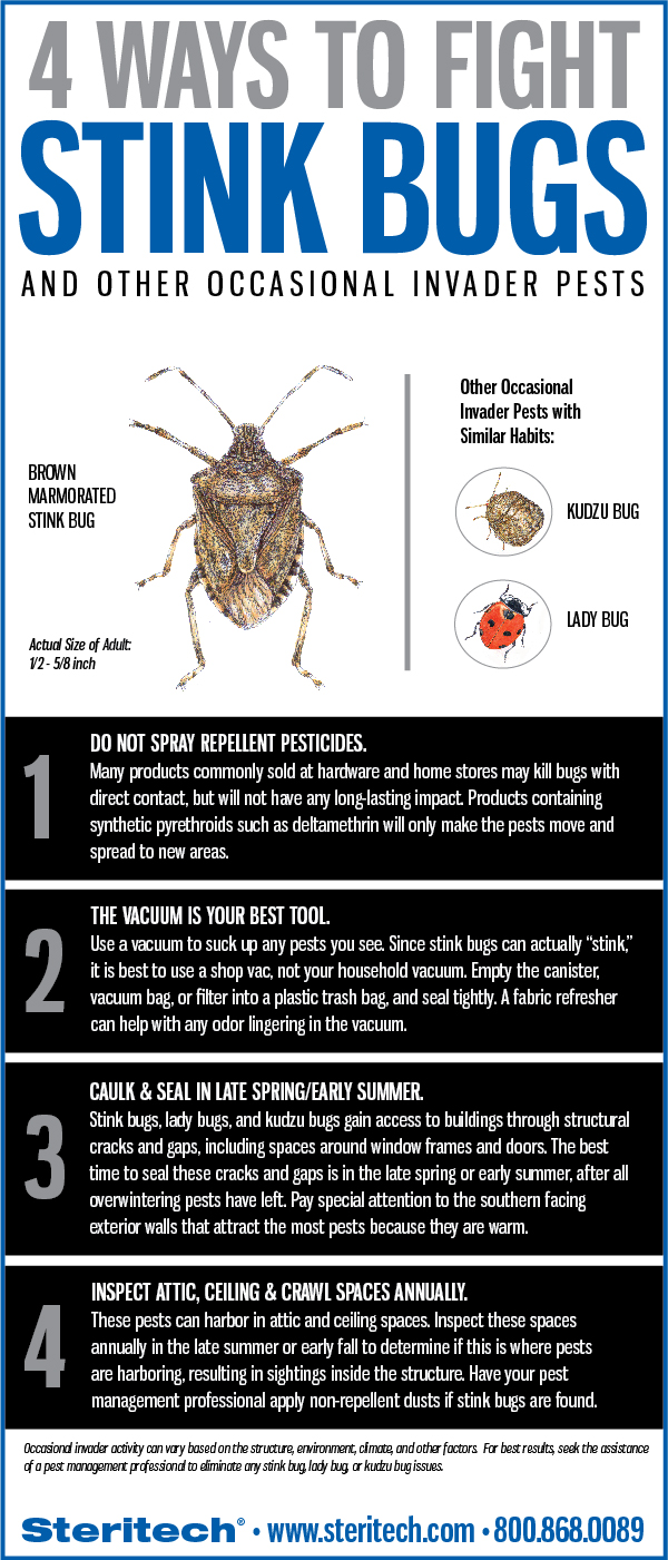 With Autumn comes the Stink Bug and Lady Bug invasion. - @wxbrad Blog